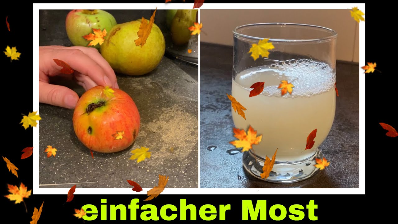 Apfelmost selber machen | Most herstellen | Selbstversorgung: Äpfel ...