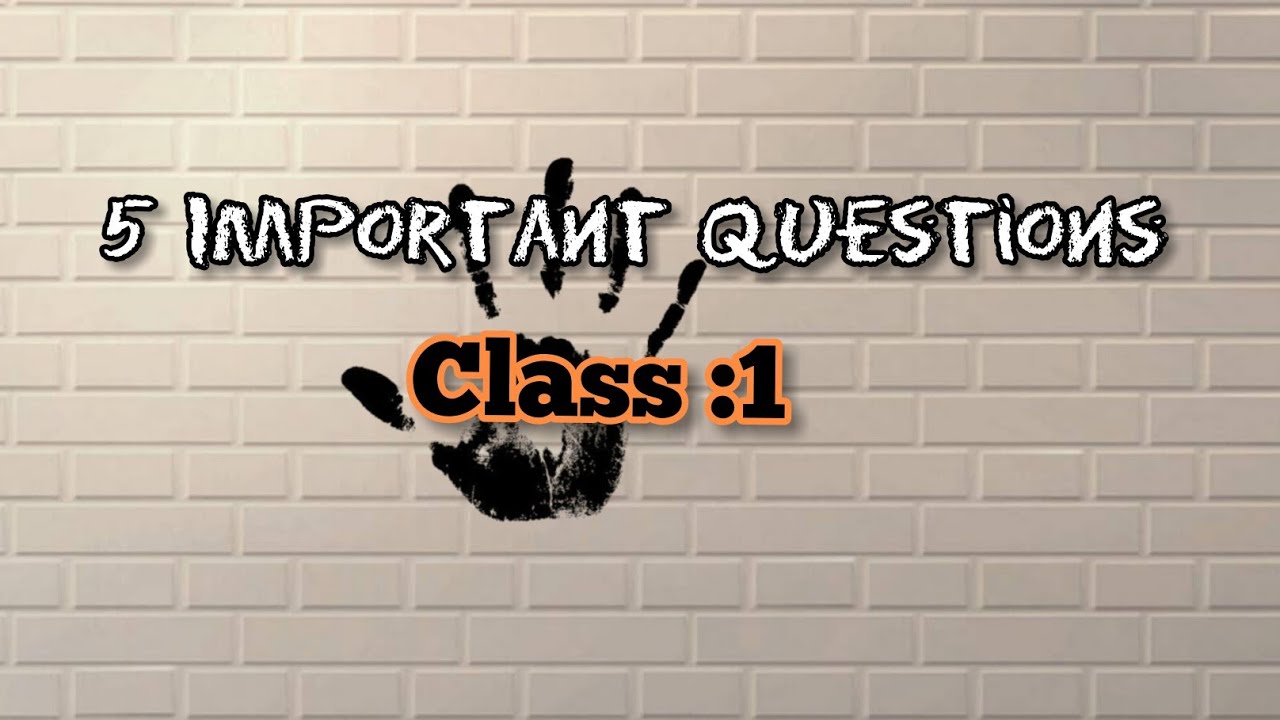 5 Important Questions In English class 1 YouTube 5 Important Questions In English class 1 YouTube