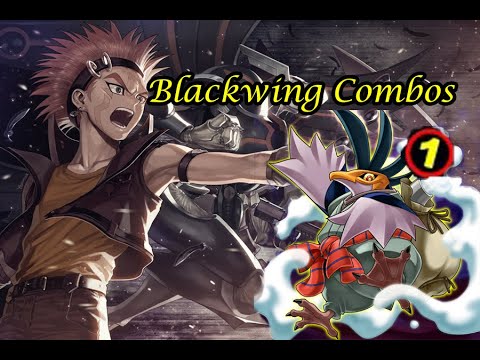 BLACKWING COMBOS FT. BLACKWING STEAM THE CLOAK POST NEW TCG BANLIST (No ...