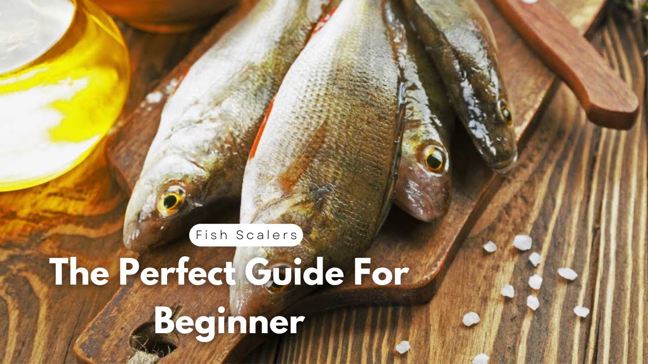 Fish Scalers, The Perfect Guide For Beginner - YouTube