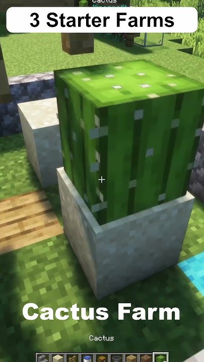 Minecraft | 3 must have Starter Farms #shorts - YouTube