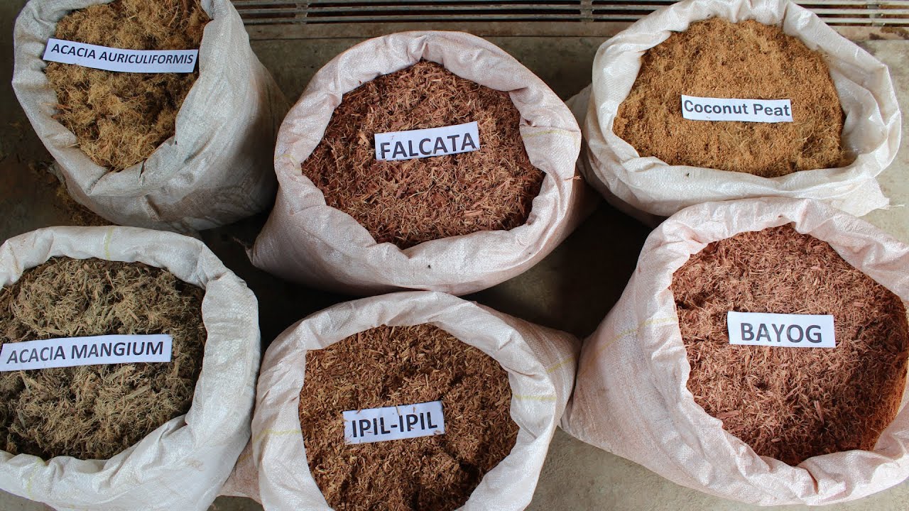 Making a business with tannin extraction: The value of an agroforestry ...