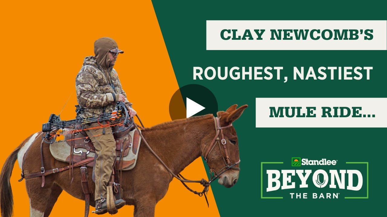Clay Newcomb Talks About His Roughest, Nastiest Mule Ride with the ...