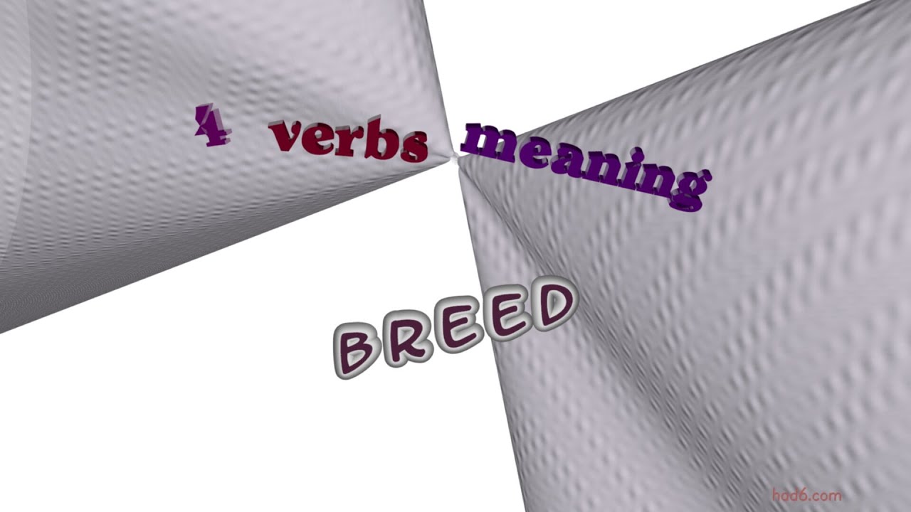 Breed 5 Verbs Synonym To Breed sentence Examples YouTube Breed 5 Verbs Synonym To Breed sentence Examples YouTube