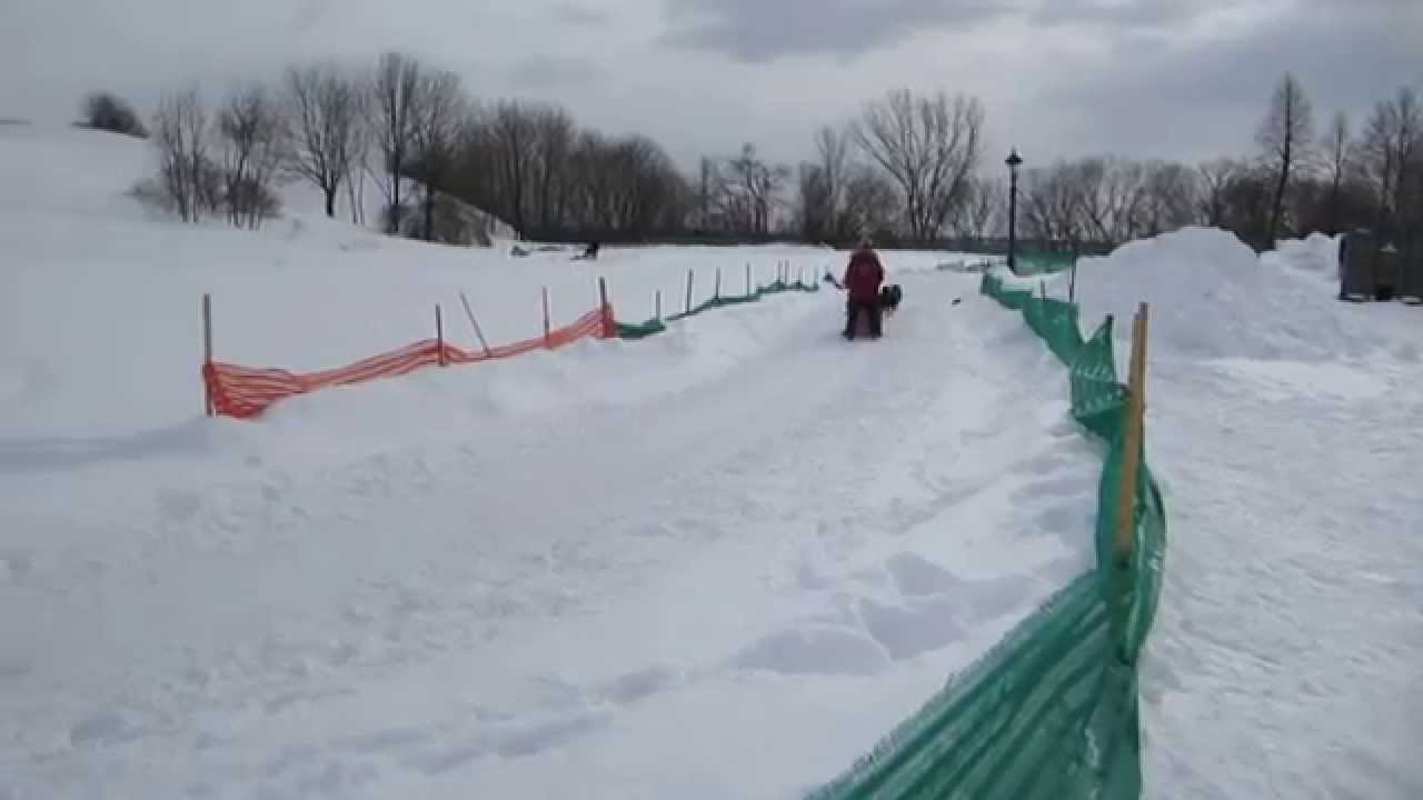 Québec City winter Carnival. Dog sledding rides.Feb.2015 - YouTube