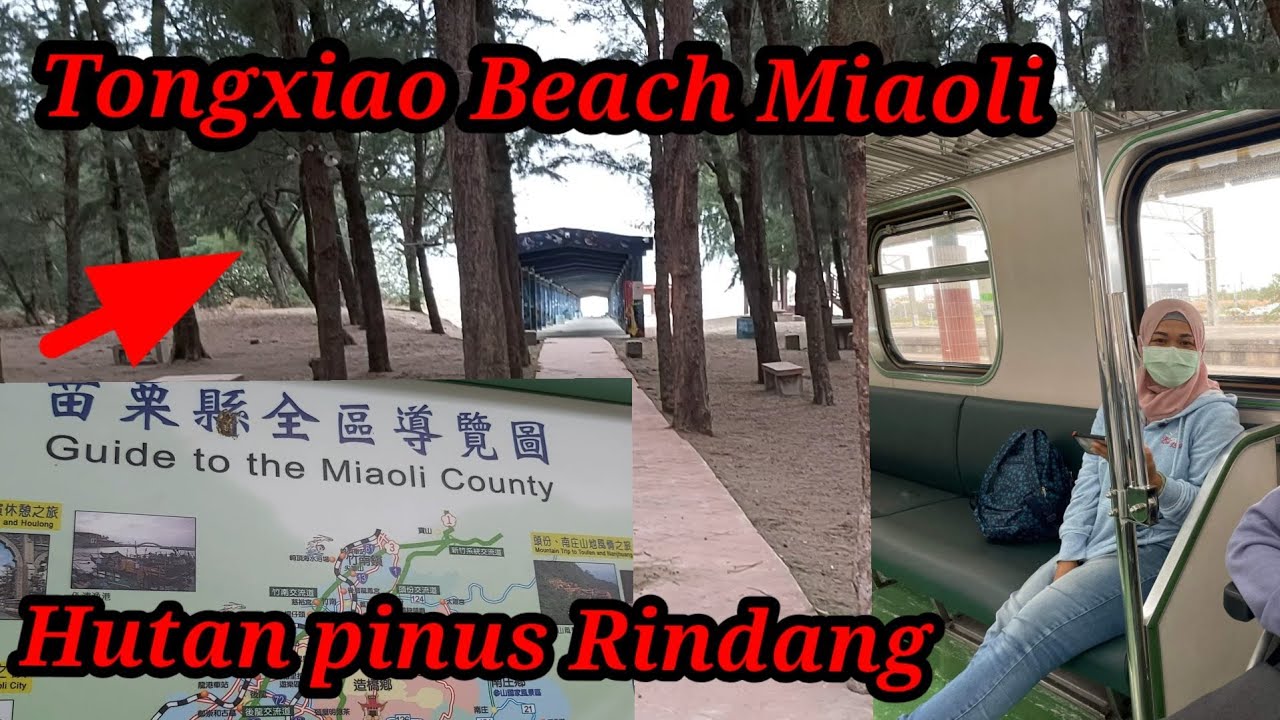 Vlog TKI Taiwan part 2 Tongxiao Beach Miaoli || Hutan Pinus Yang ...