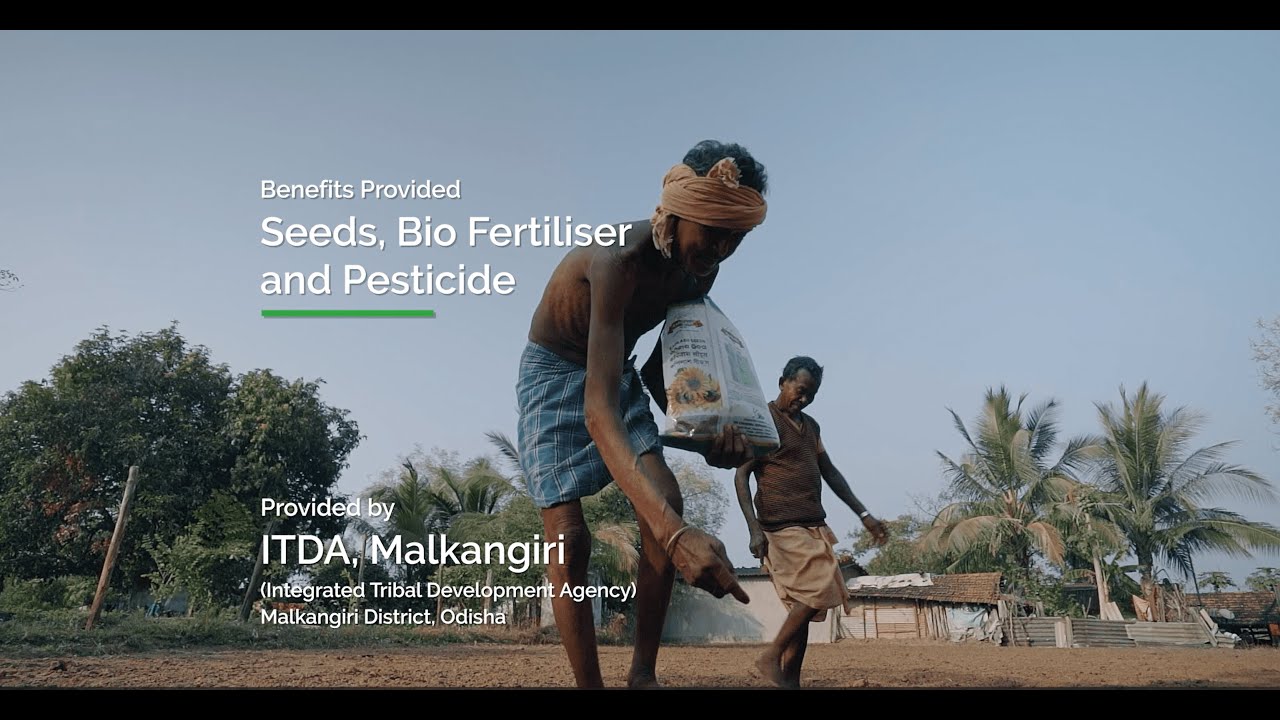 MMJJM, ITDA MALKANGIRI - YouTube