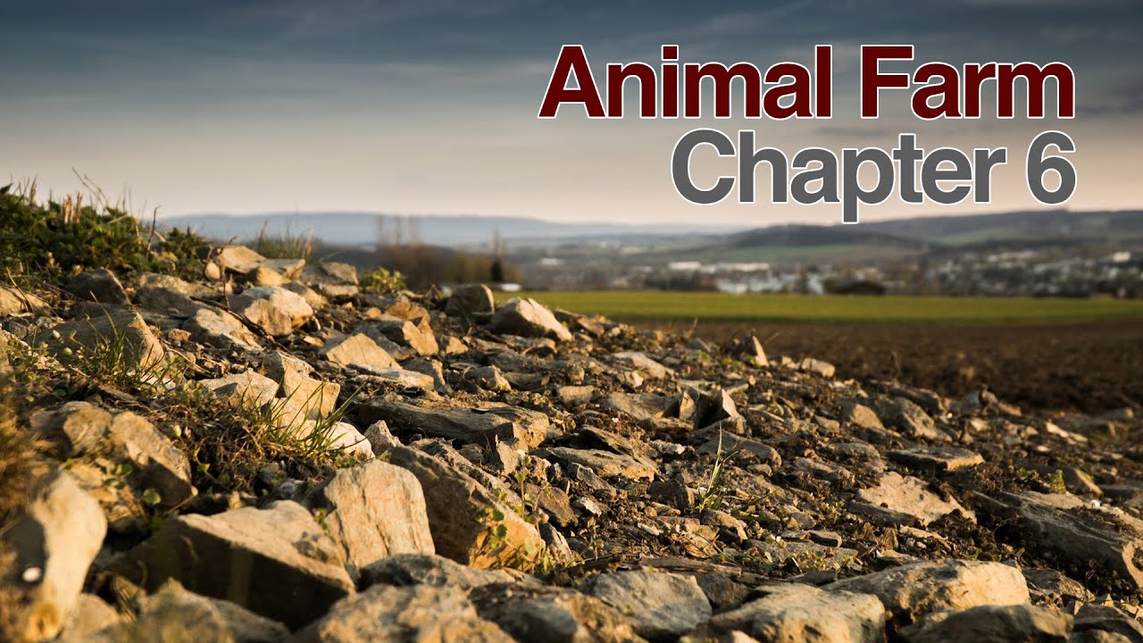 23 Animal Farm Chapter 5 ChukaAdriel