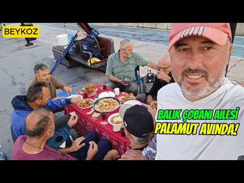 ​Palamut Avı! Balık Çobanı Ailesi Beykoz'da! Kahvaltı ve Muhabbet. Balık Çobanı