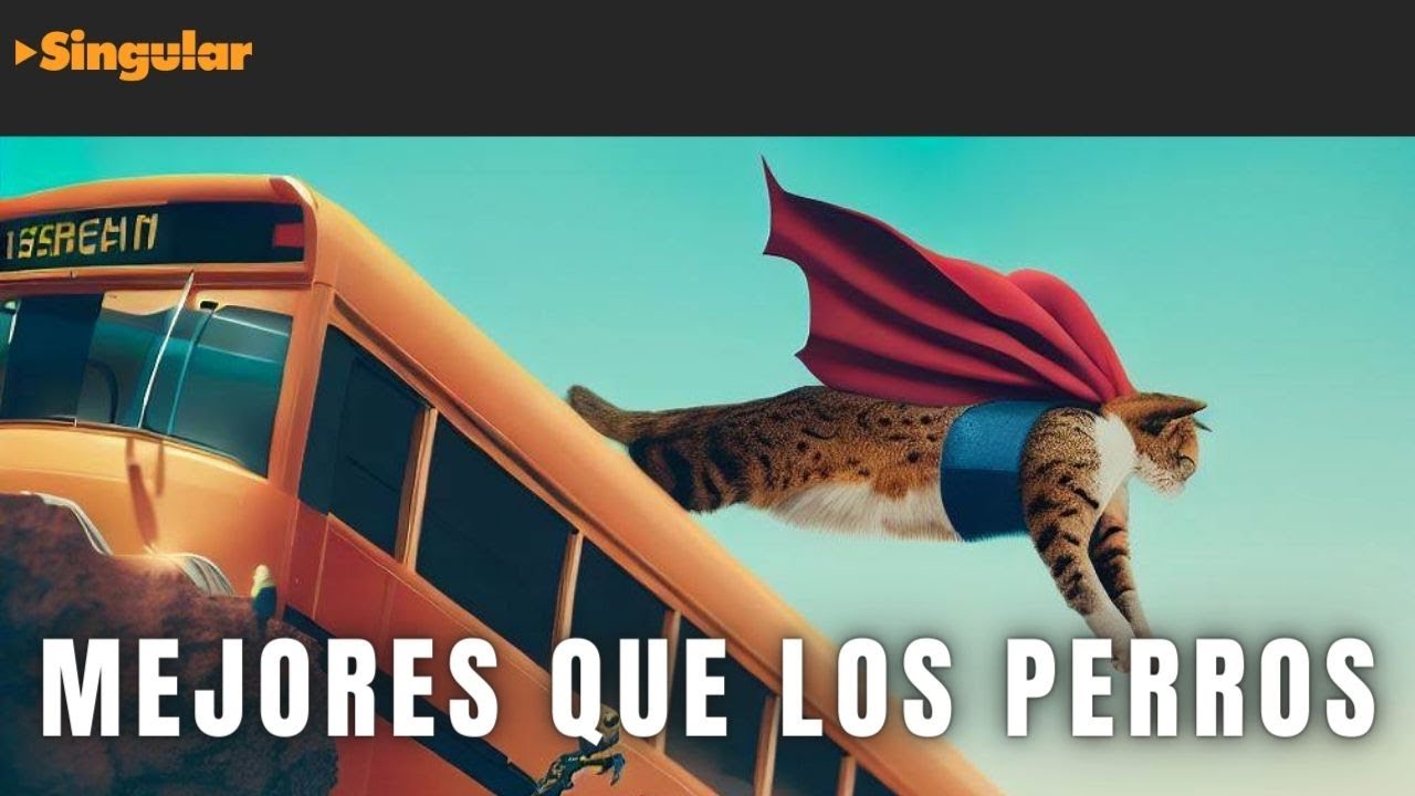 ¿Por qué los gatos son la mejor mascota? - YouTube