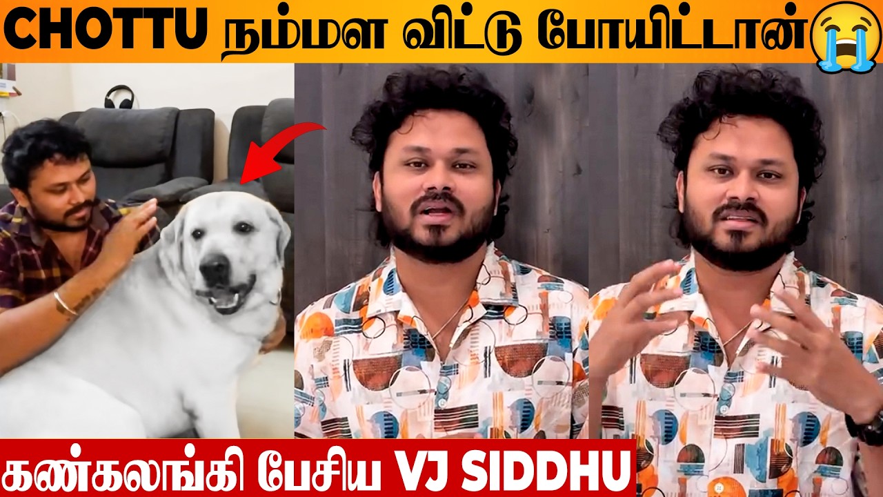 SHOCKING 😭 VJ Siddhu Emotional Speech On Mr.Chottu Dog 💔 Reason ...