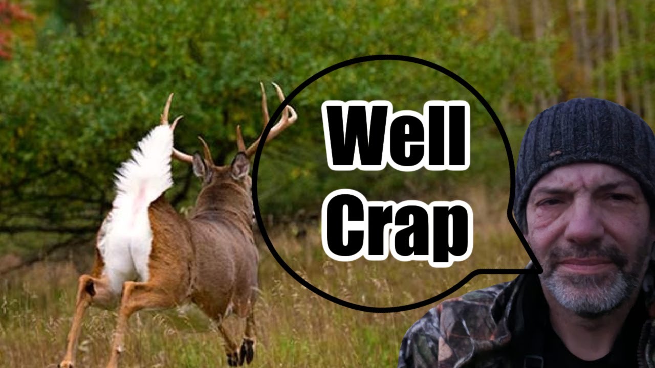 How much harm do you do when spooking a buck? - YouTube