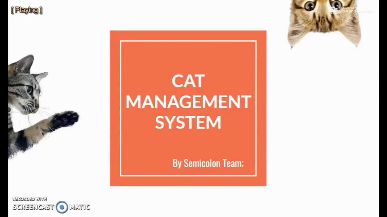 Abu Hurairah Cat Management System - YouTube