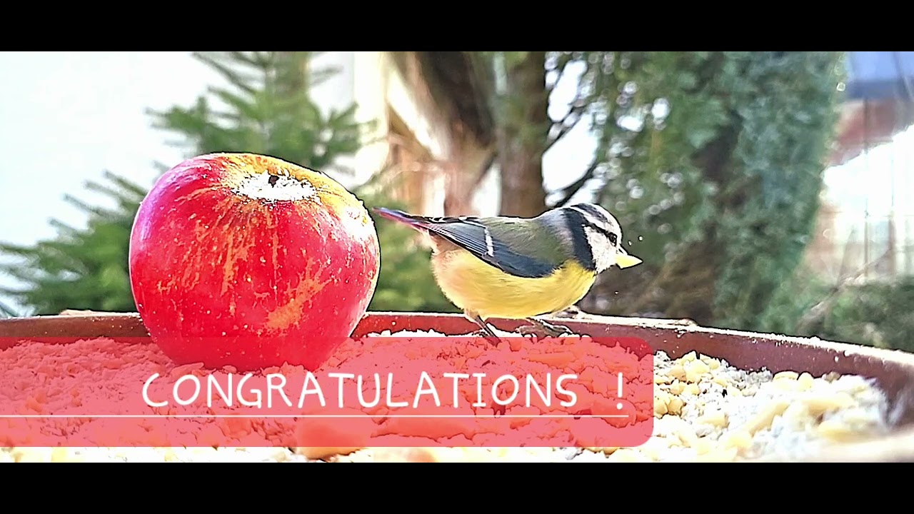 CONGRATULATIONS ! - YouTube