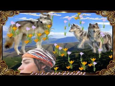 Ne Etsem Olmuyor (HD)