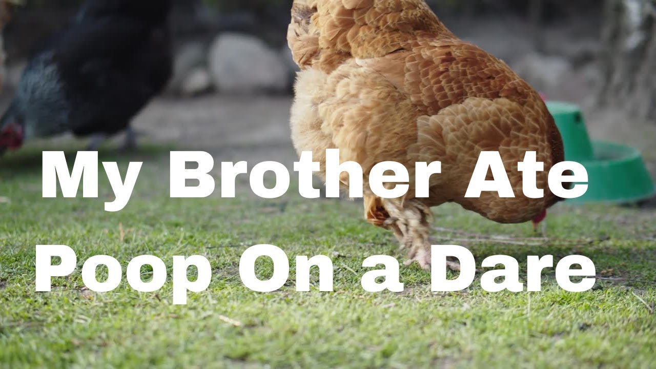 Brother ate poop on a dare - YouTube