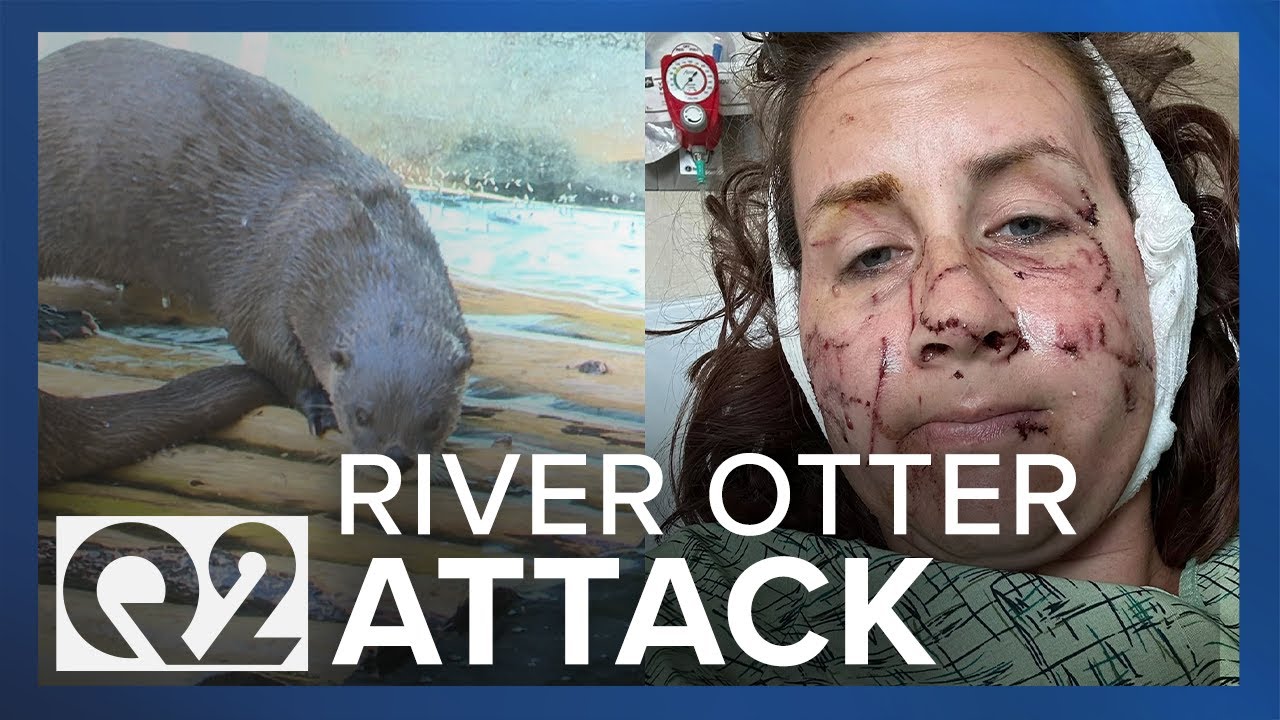 'Vicious and relentless': Victim describes harrowing otter attack on Montana river - YouTube