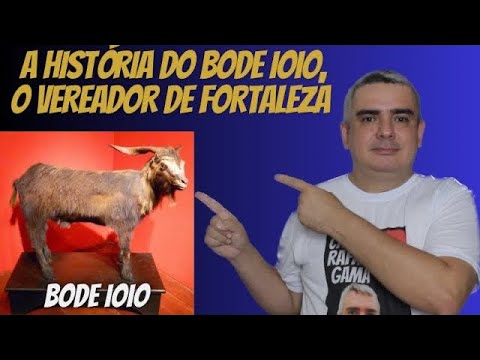 A HISTÓRIA do BODE IOIO de FORTALEZA - YouTube