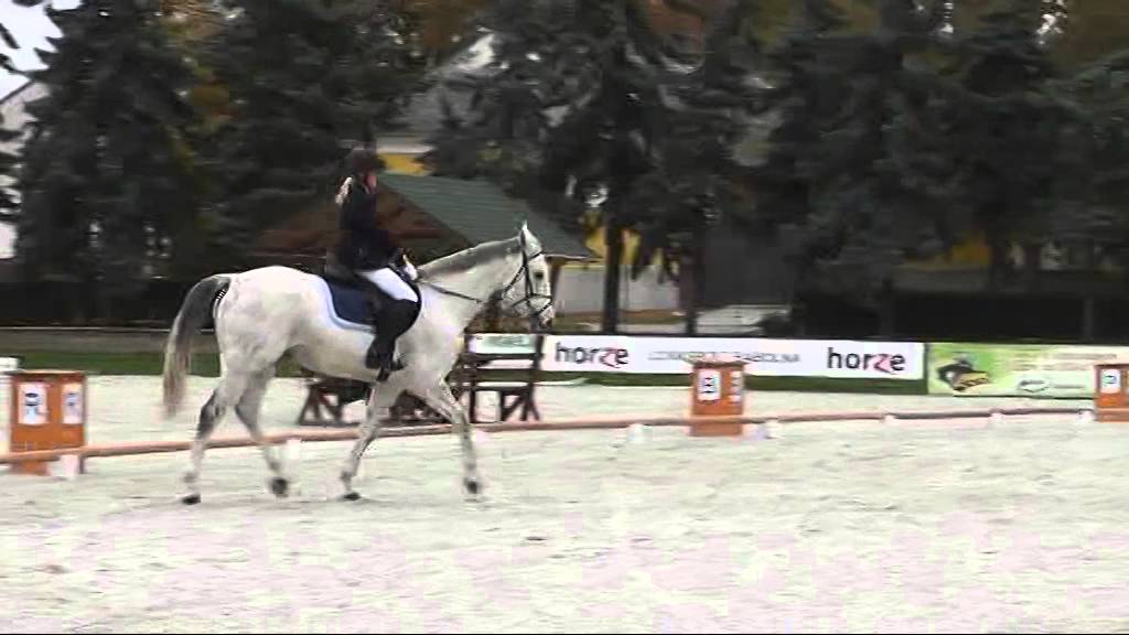 Habsburg Zsófia - Rádiháza Alfa - Bábolna - A0 - 2013 - YouTube