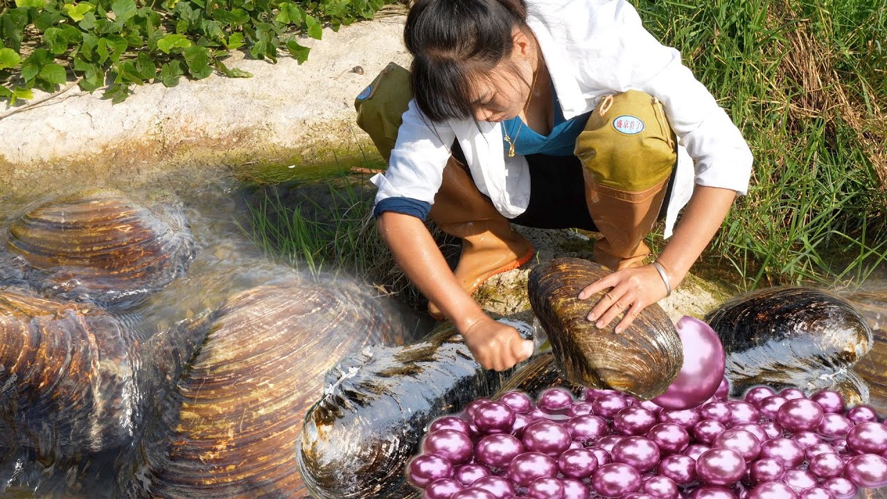 😇😇 The Secret of Pearl: The girl uncovers the mutated giant clam and ...