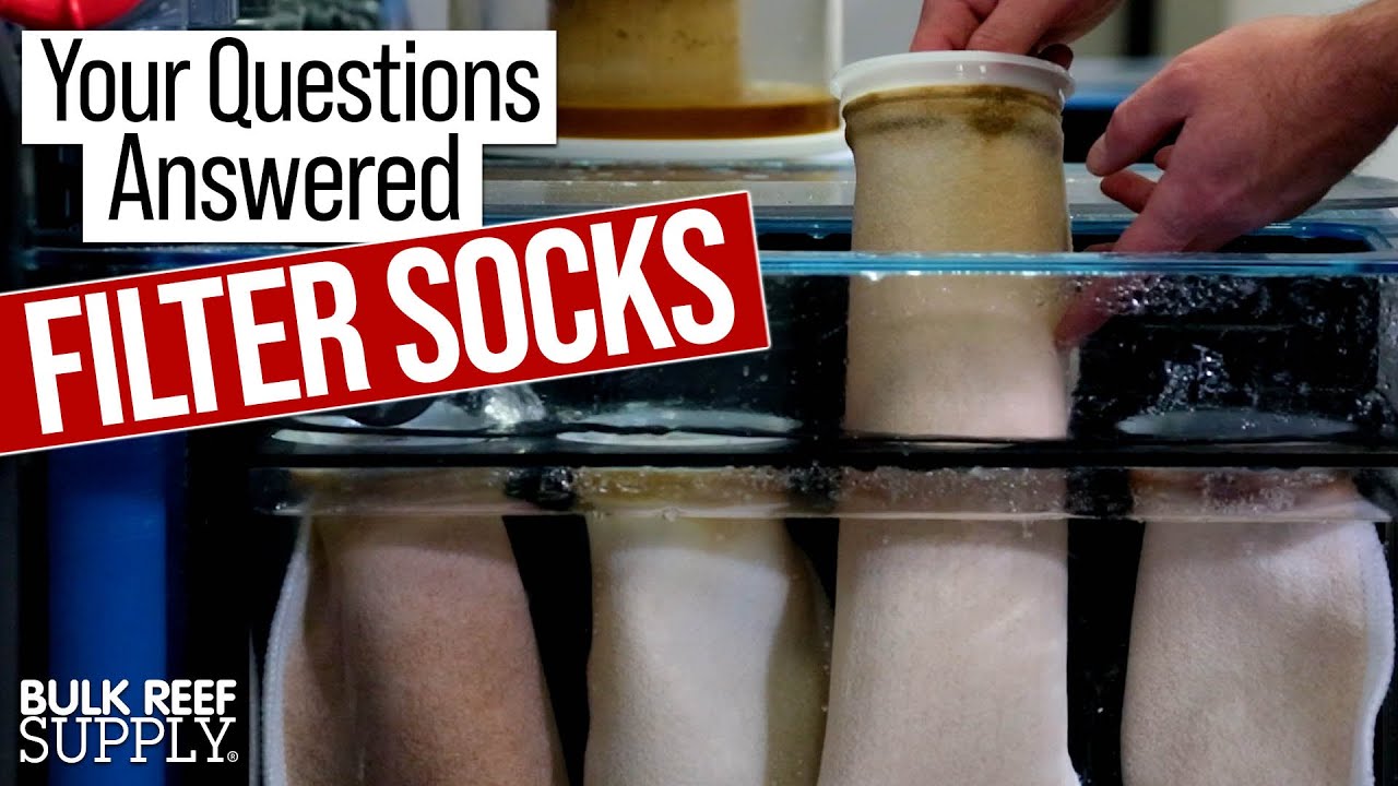 Change Aquarium Filter Socks WHEN? Top 5 Answers to BRS Filter Sock ...