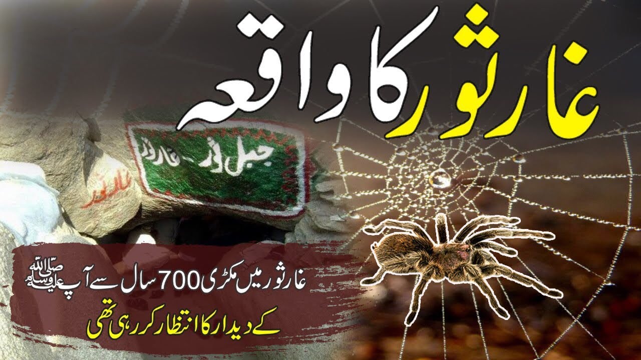 Gare e soor main makri or kaboter ka waqia #hindi #urdu #story # ...