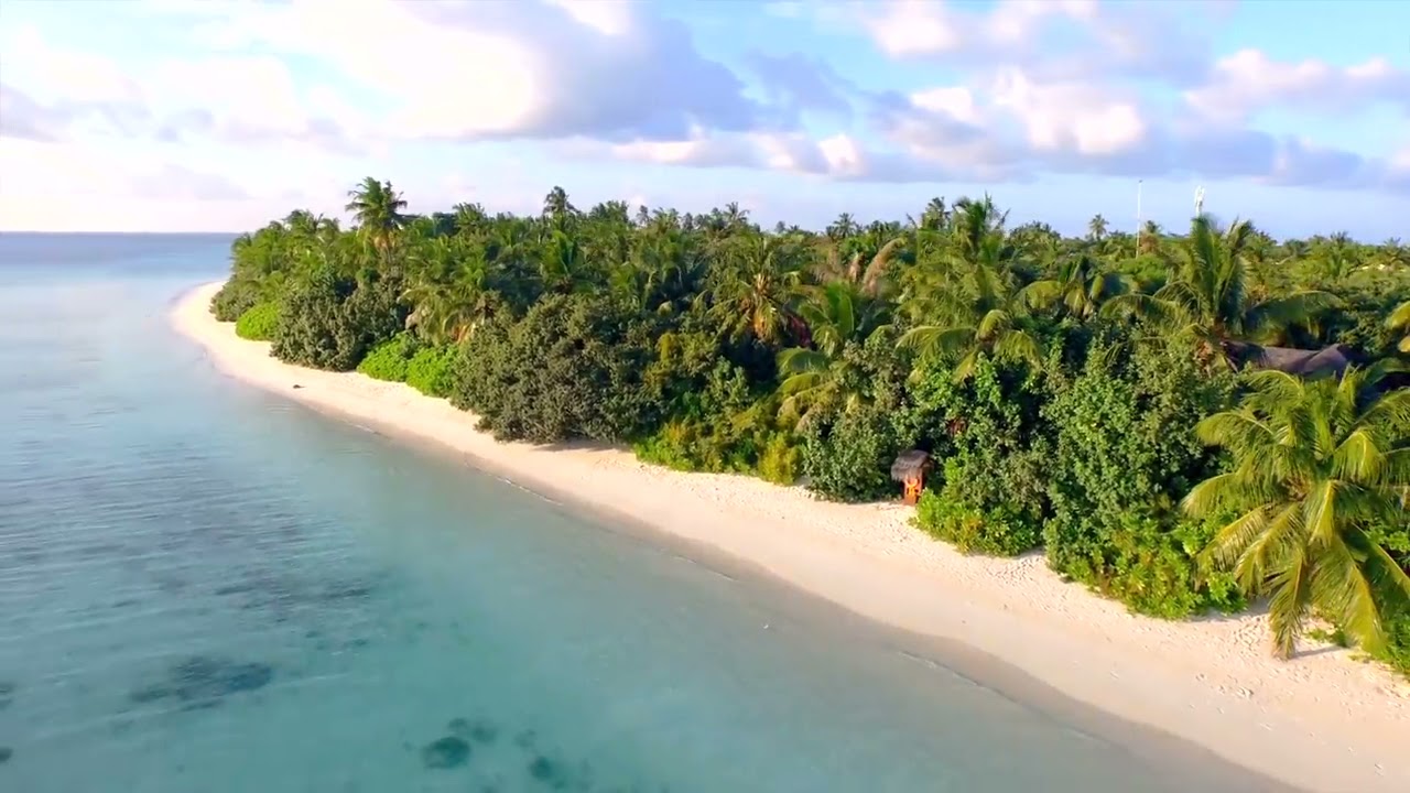 fgdfgd 863 - YouTube