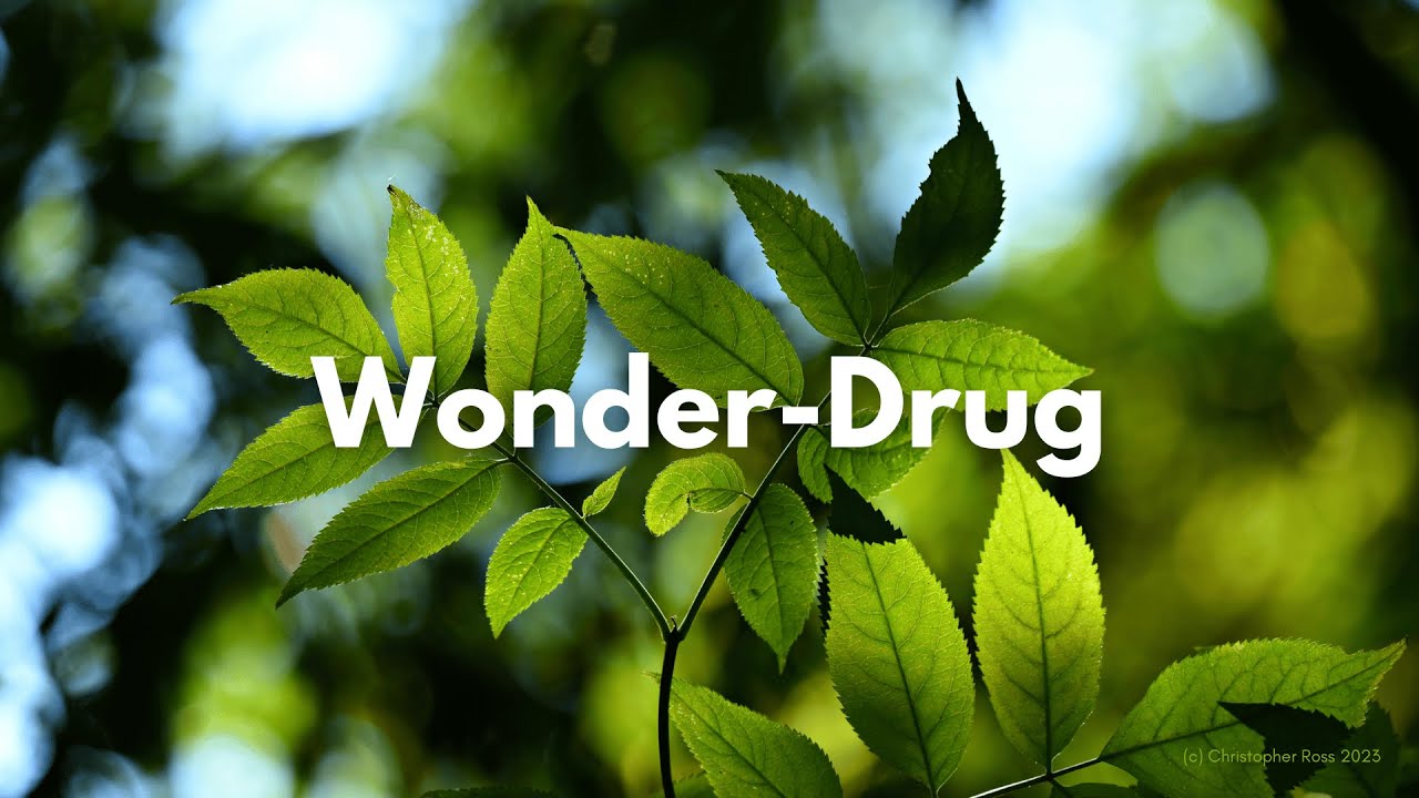 The Wonder-Drug - YouTube