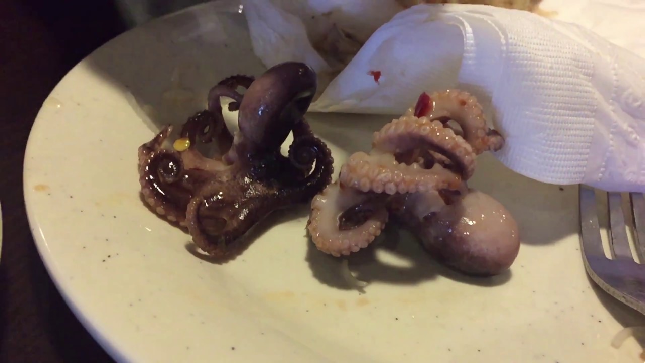 MY MAN EATING AN OCTOPUS 🐙😖 - YouTube