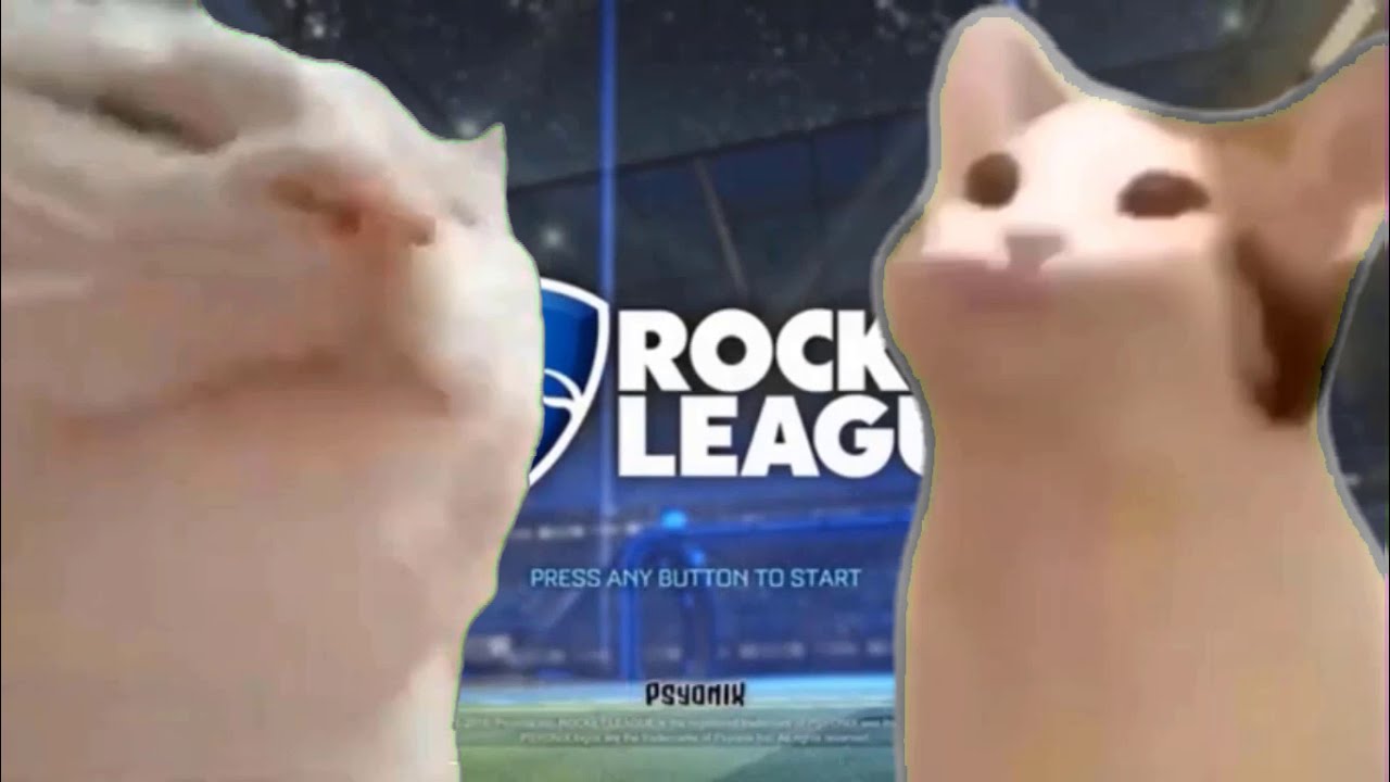 POP CAT And Vibing Cat (Rocket league Intro) *Meme* - YouTube
