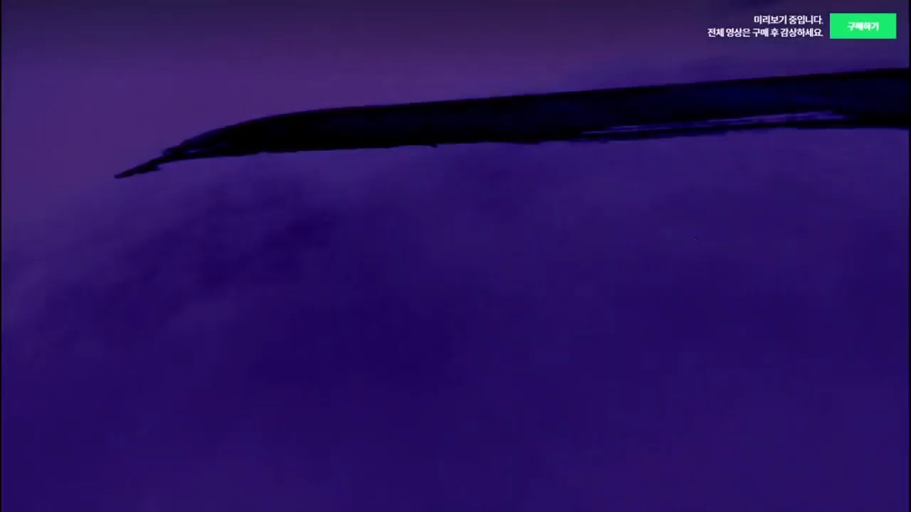 PFS 2021 Channel Rewind - 2022 - YouTube