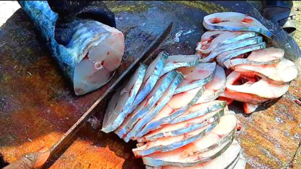 Seer Fish Slice Cutting Skill / Expert Fish Slice Cutter / Per Kg - 700 ...