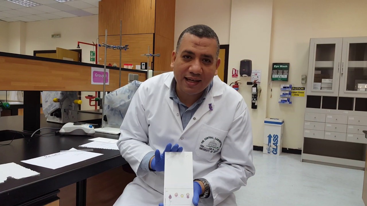 Biochemistry lab - TLC - practical session - YouTube