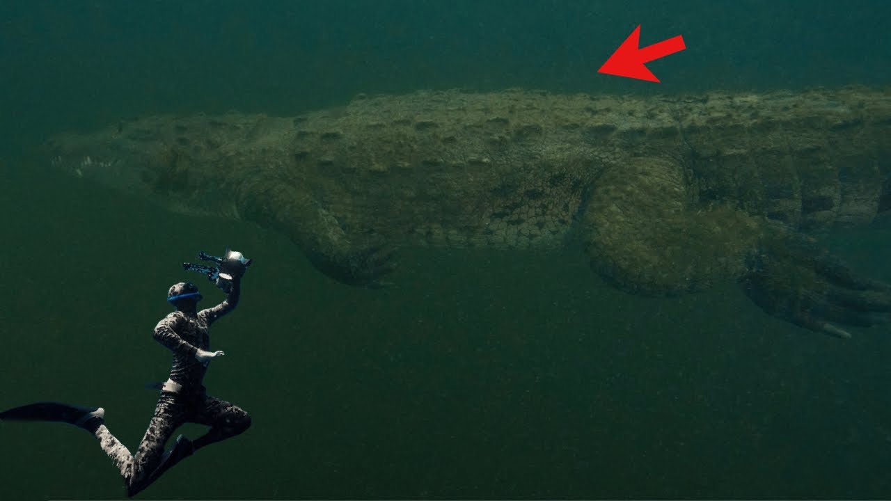 CAUGHT ON VIDEO-Diver surrounded by WILD 15 foot crocodile & 13 foot ...