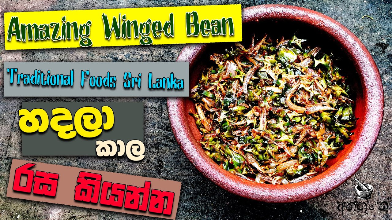 How to cook winged beans in a traditional way | Mind relaxing cooking ...