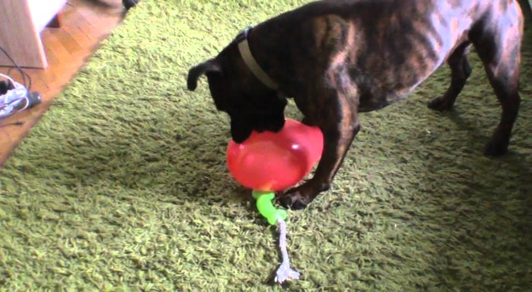 Borys kontra balon !!! - YouTube