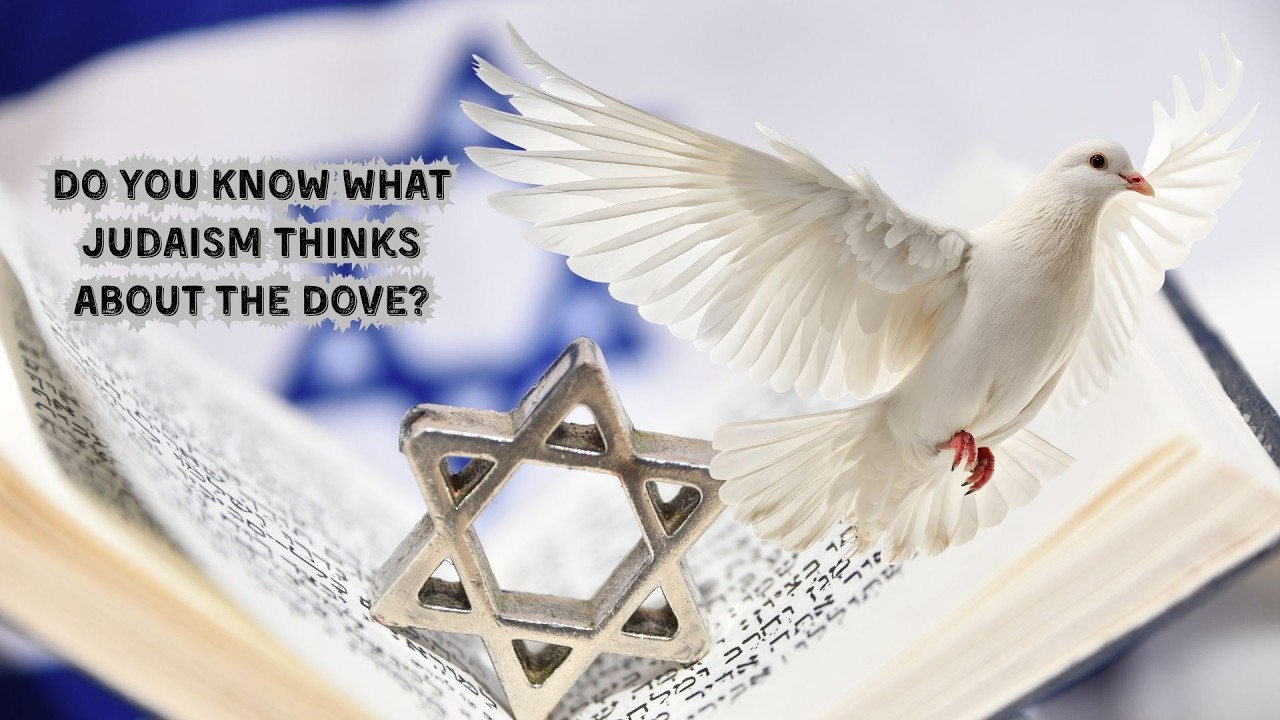 The Dove in Judaism 🕊️ | A Symbol of Peace, Hope & Divine Connection ...