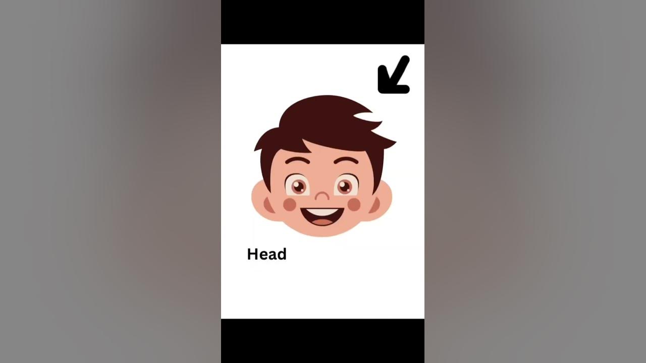 Names Of Body Parts list Of Body Parts for Kids kids viral humanbody names-of-body-parts-list-of-body-parts-for-kids-kids-viral-humanbody