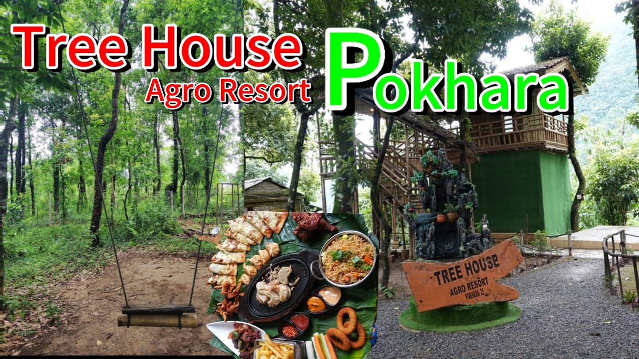 WOW😲 Kati Ramailo Thau😘 Tree House Pokhara Hemja #Special_Birthday_Girl ...