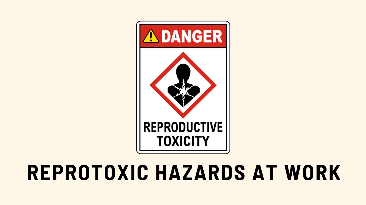 Reprotoxic Hazards at Work (Certificate + CPD Points) - YouTube