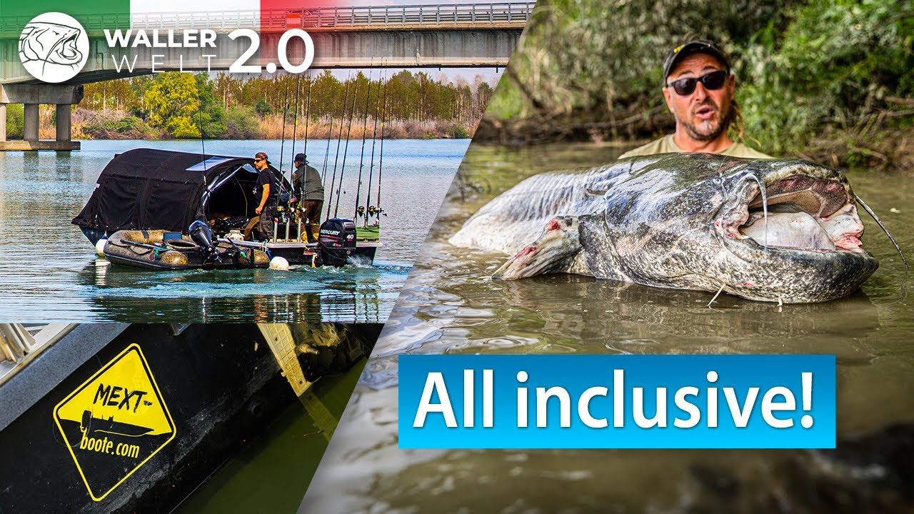 Wallerangeln am Po - Das "all inclusive rundum sorglos Paket" im Wels ...