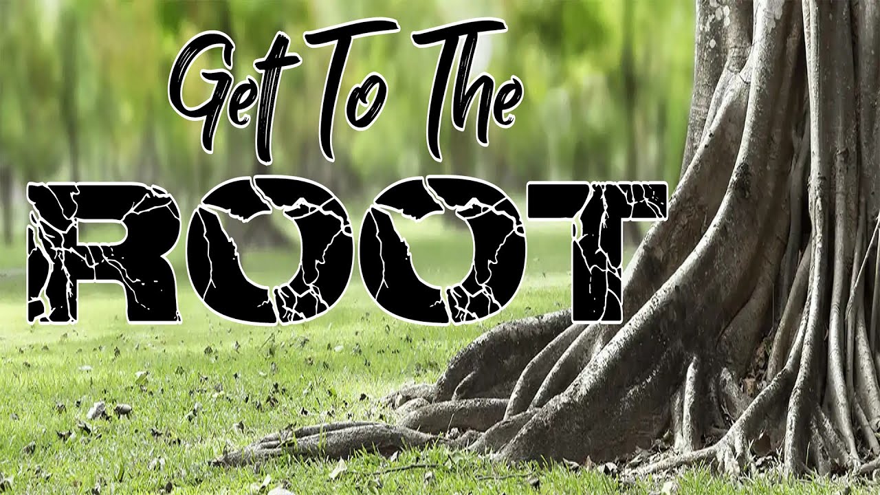 Get To The Root - YouTube