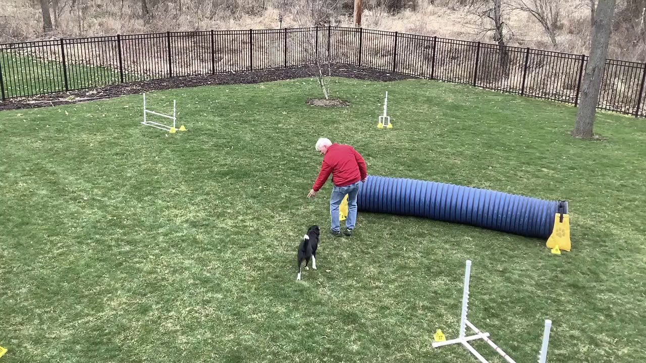 Dobby Game - YouTube