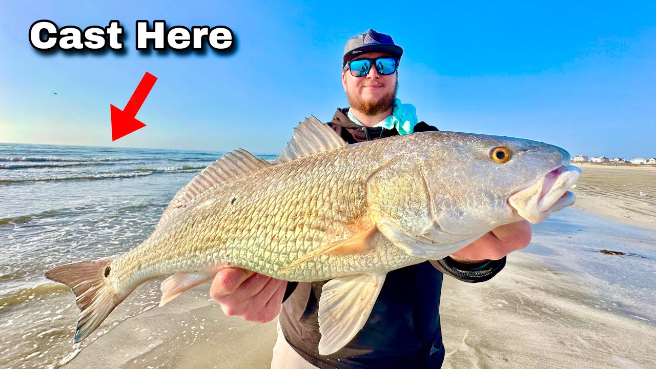 Winter SURF FISHING for SLOT REDFISH! (Catch, Clean, Cook) - YouTube
