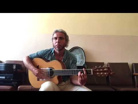 Sting-Englishman In New York-guitar cover Garri Pat