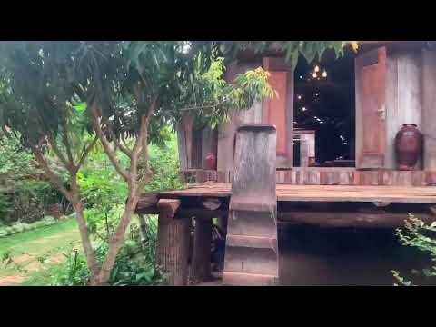 Đi dạo hồ Ekao và ăn Gà nướng cơm lam nhà sàn - YouTube