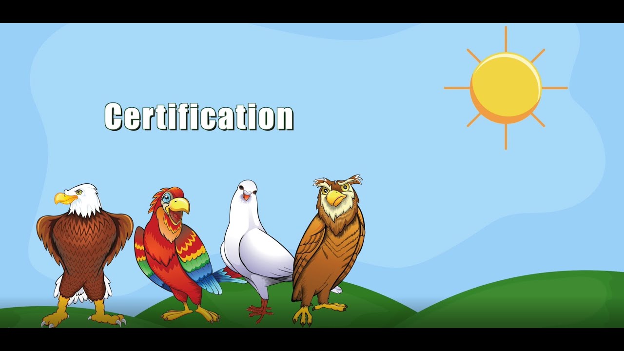Taking Flight with DISC Certification - YouTube