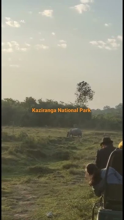 Kaziranga National Park - YouTube
