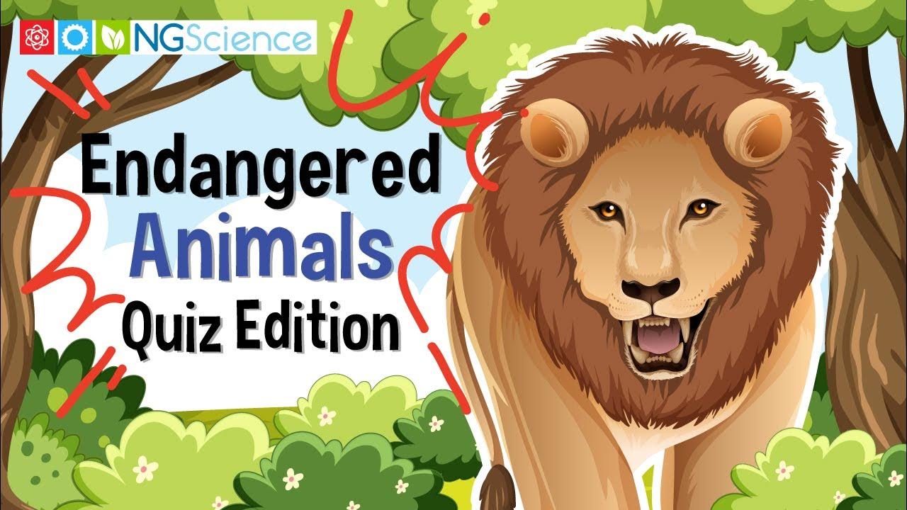 Endangered Animals – Quiz Edition - YouTube