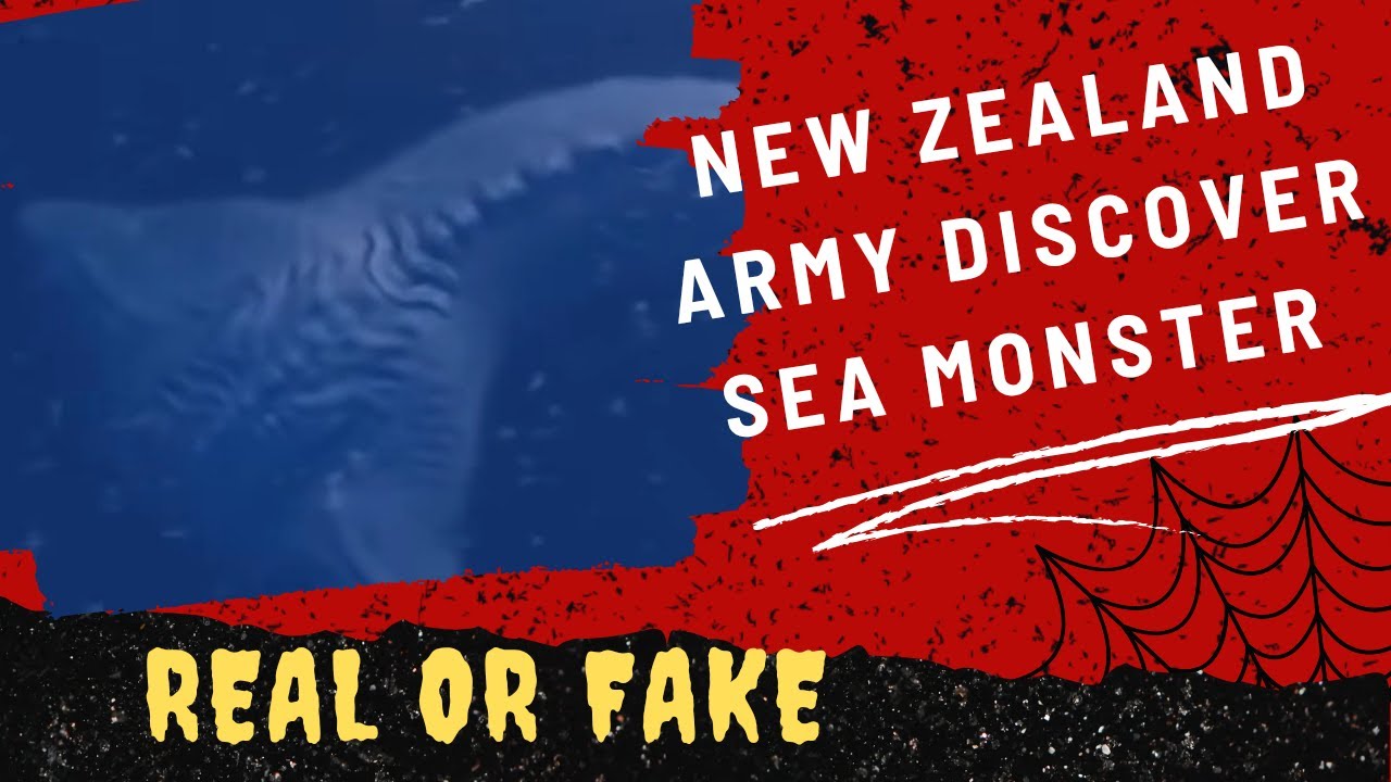 New Zealand Army Discover Sea Monster | Real or Fake | Leviathan New ...